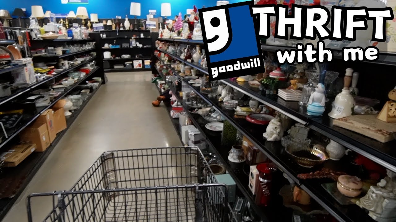 Too Good to Be True? | Goodwill Thrift with Me