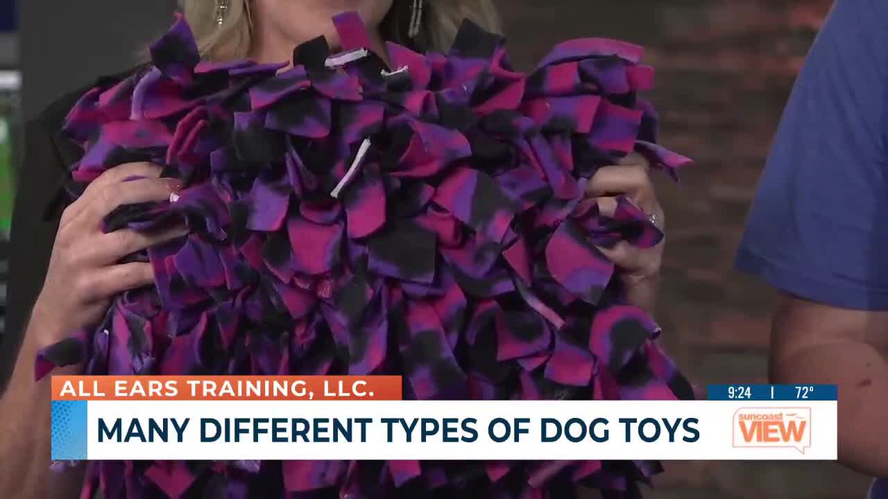 DIY Dog Toy Workshop at Dog Bar Sarasota