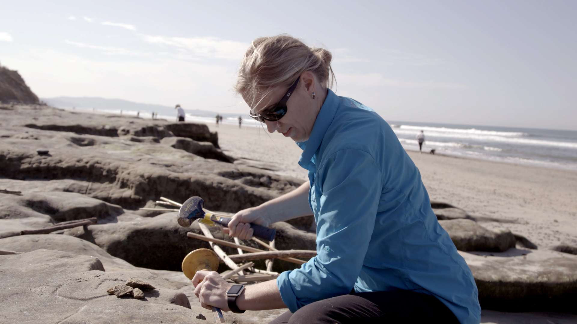 15 Nature Shows and Movies You Can Actually Learn From