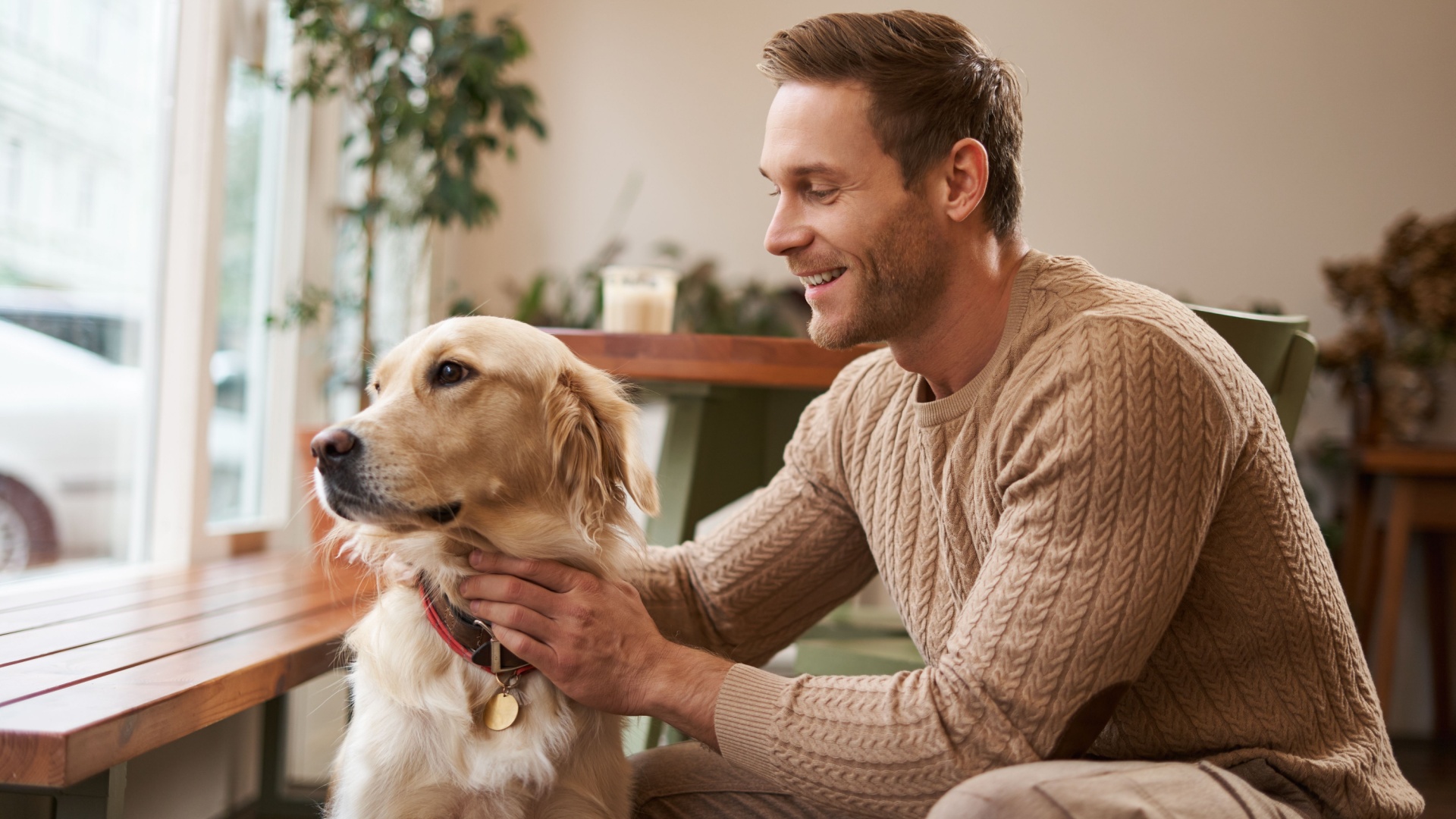 6 Common Human Behaviors That Dogs Dislike And 5 Habits They Appreciate ...