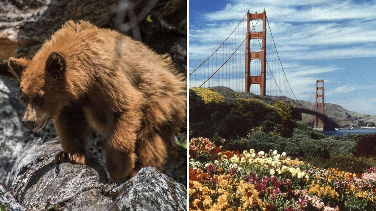 California: Little-known facts about the Golden State