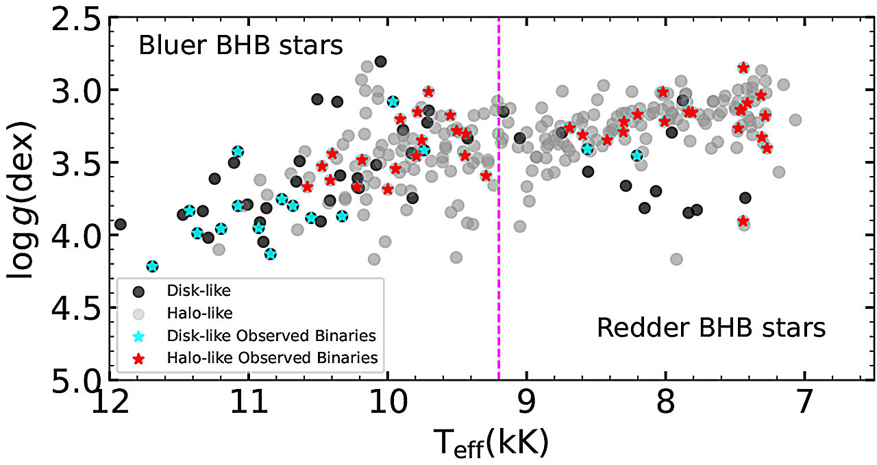 Team uncovers intrinsic binary fraction of blue horizontal-branch stars