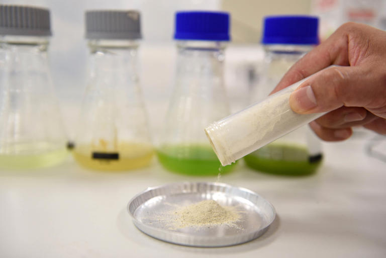 List of protein powders brands containing lead: Consumer Reports