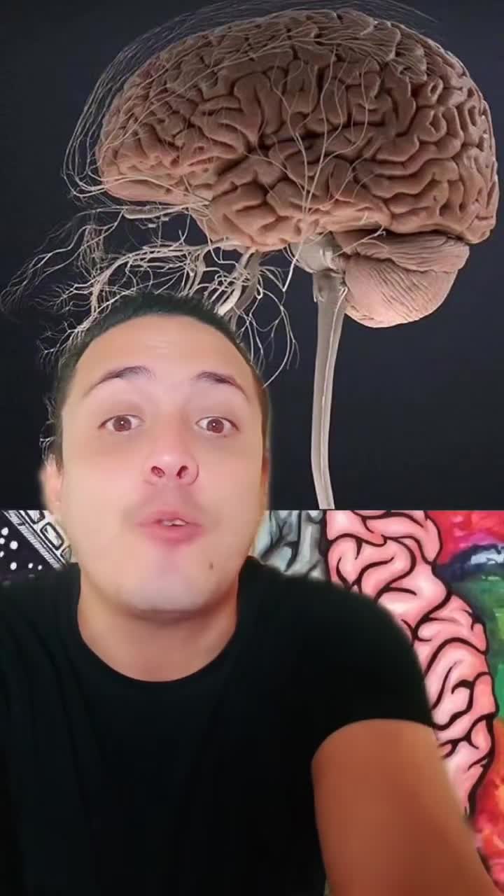 ¿Qué pasa en nuestro cerebro cuando contamos una historia? #nescritor...