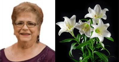 Joan Domanico, 87, of Racine – Obituary