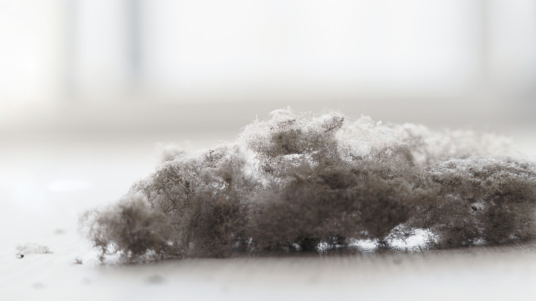 The Obvious Spot You're Neglecting When It Comes To Dust In The Home