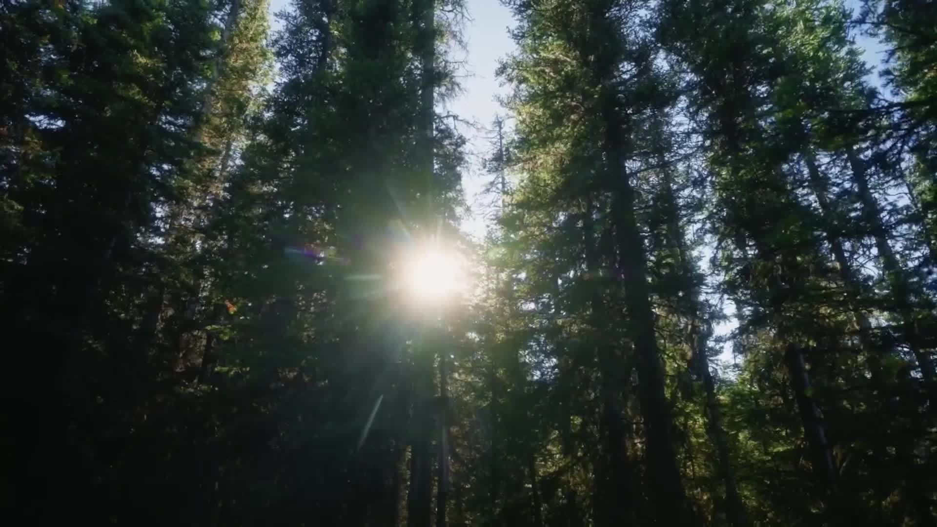 C'est le plus beau parc national du Canada!