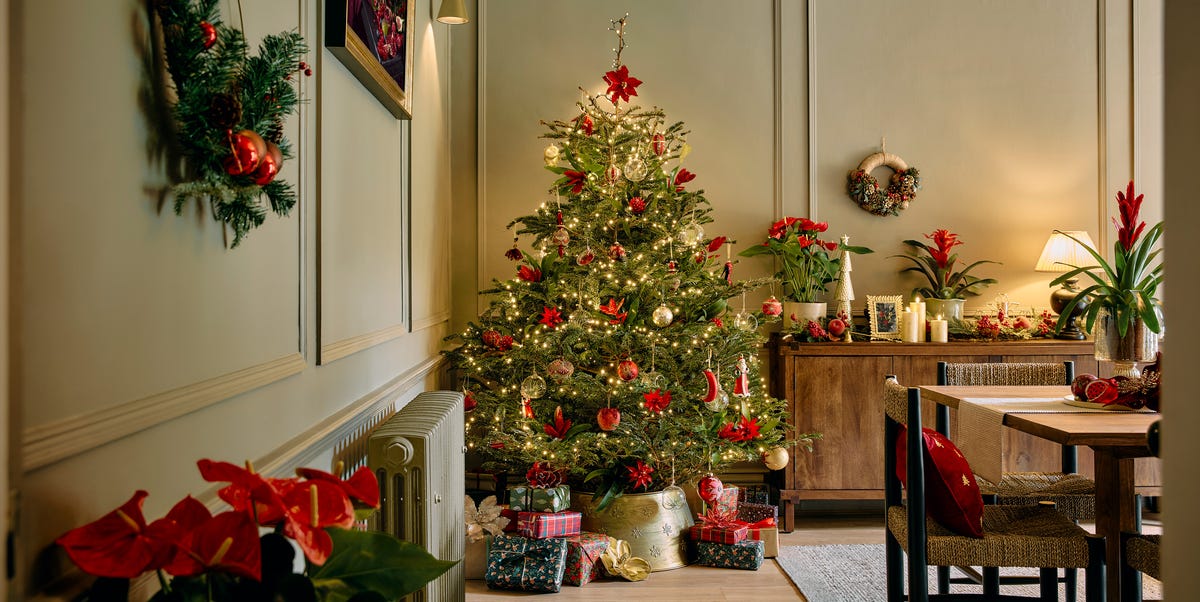 The 12 days of Christmas explained: What they really mean and when they ...