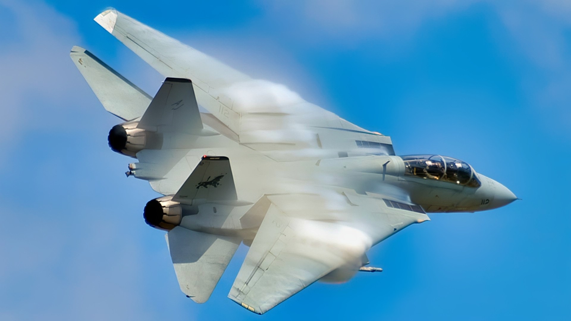 US Navy pilots flying F-14 Tomcats locked onto what they thought was a ...