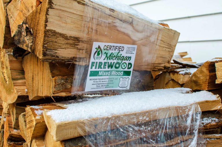 Michigan urges residents not to move firewood to protect trees