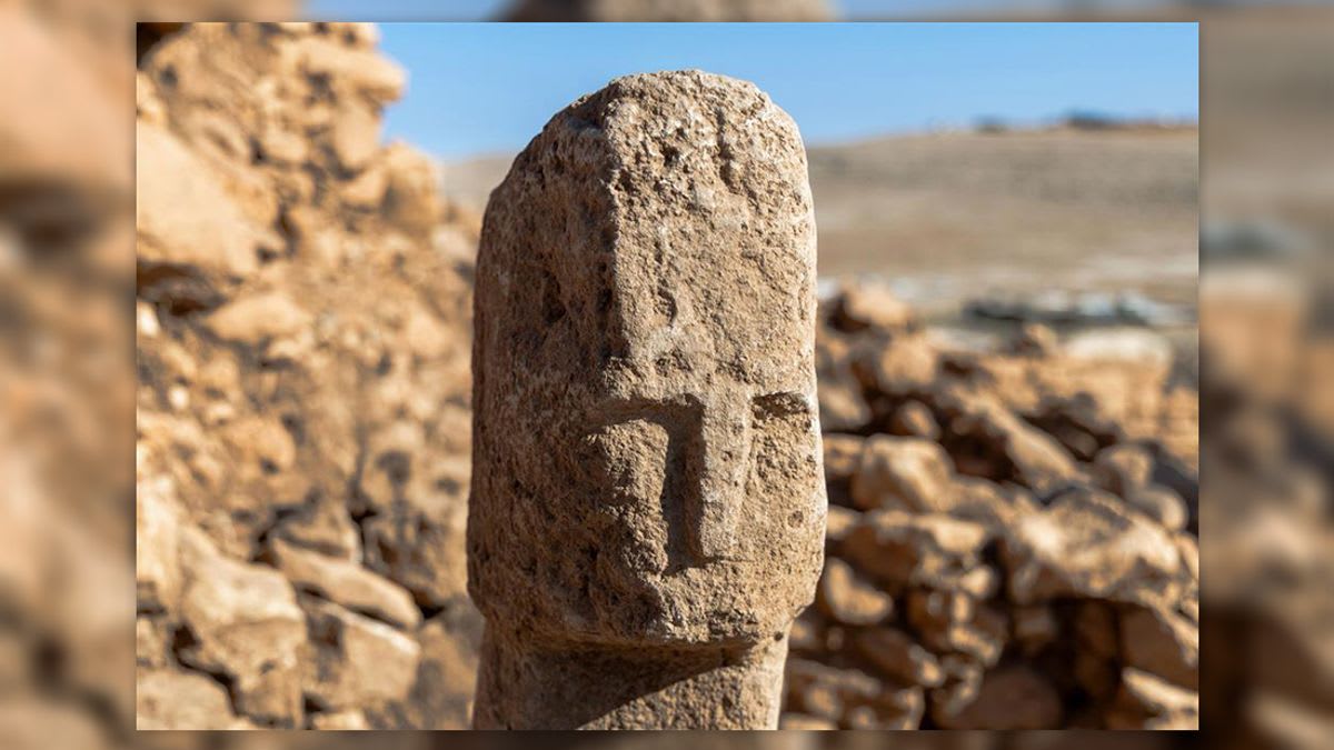 The First Neolithic Self-Portrait? Stony Human Face Emerges In 12,000 ...