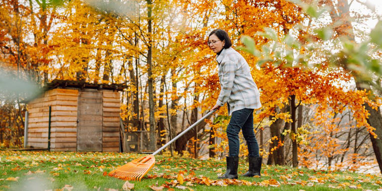 The Smart Homeowner's Guide to Raking Leaves at the Right Time