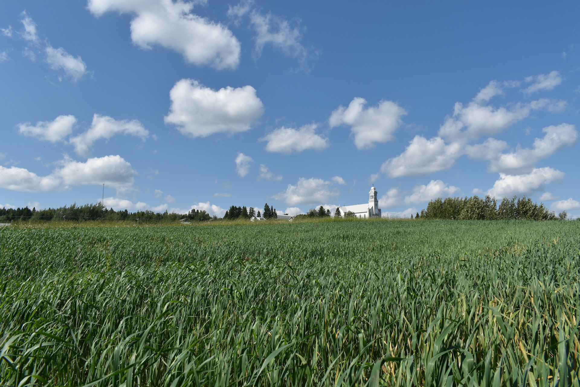 Rural Canada’s vanishing act: Why small towns are disappearing faster ...