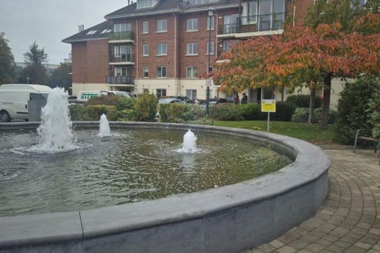 Teen killed and two injured in horror stabbing in Dublin as suspect ...