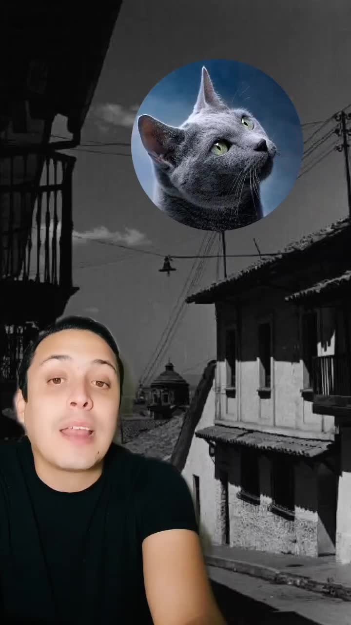 La historia de El Gato Gris #historia #colombia #bogotá #historiasas