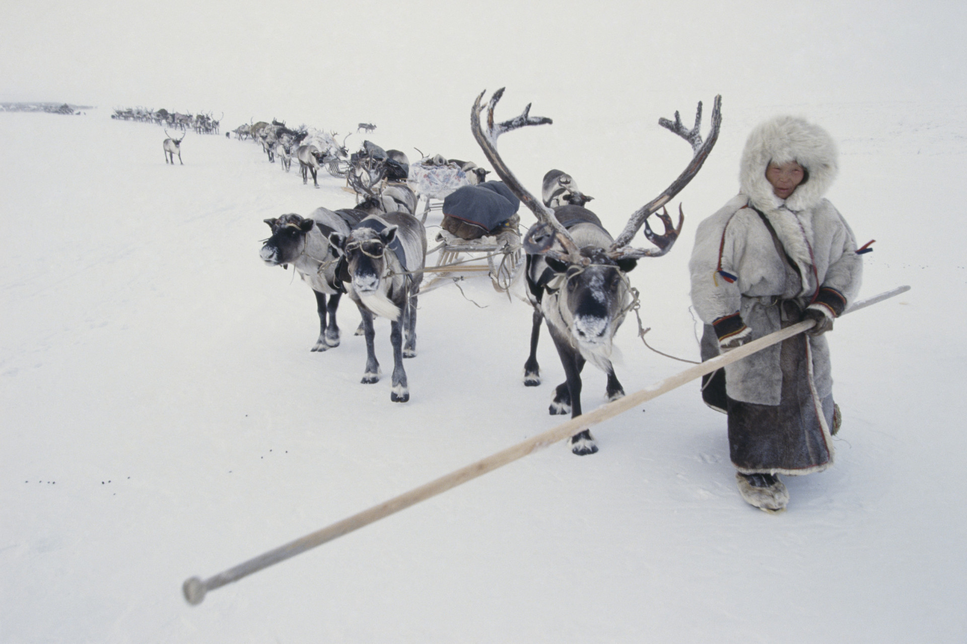 Taiga-Traditionen: Leben jenseits des Polarkreises