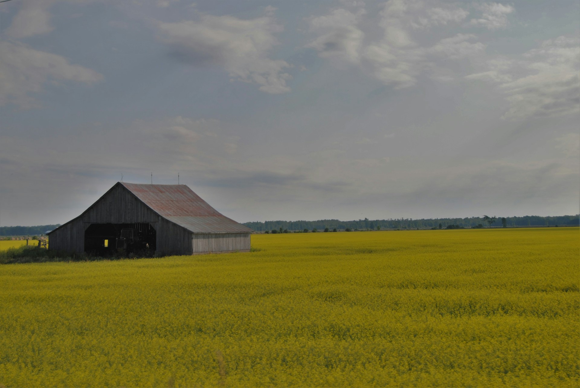 Rural Canada’s vanishing act: Why small towns are disappearing faster ...