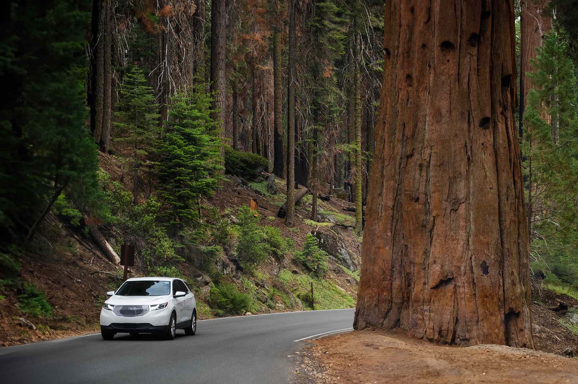 This Is the No. 1 Car Rental Company in the U.S., Study Finds