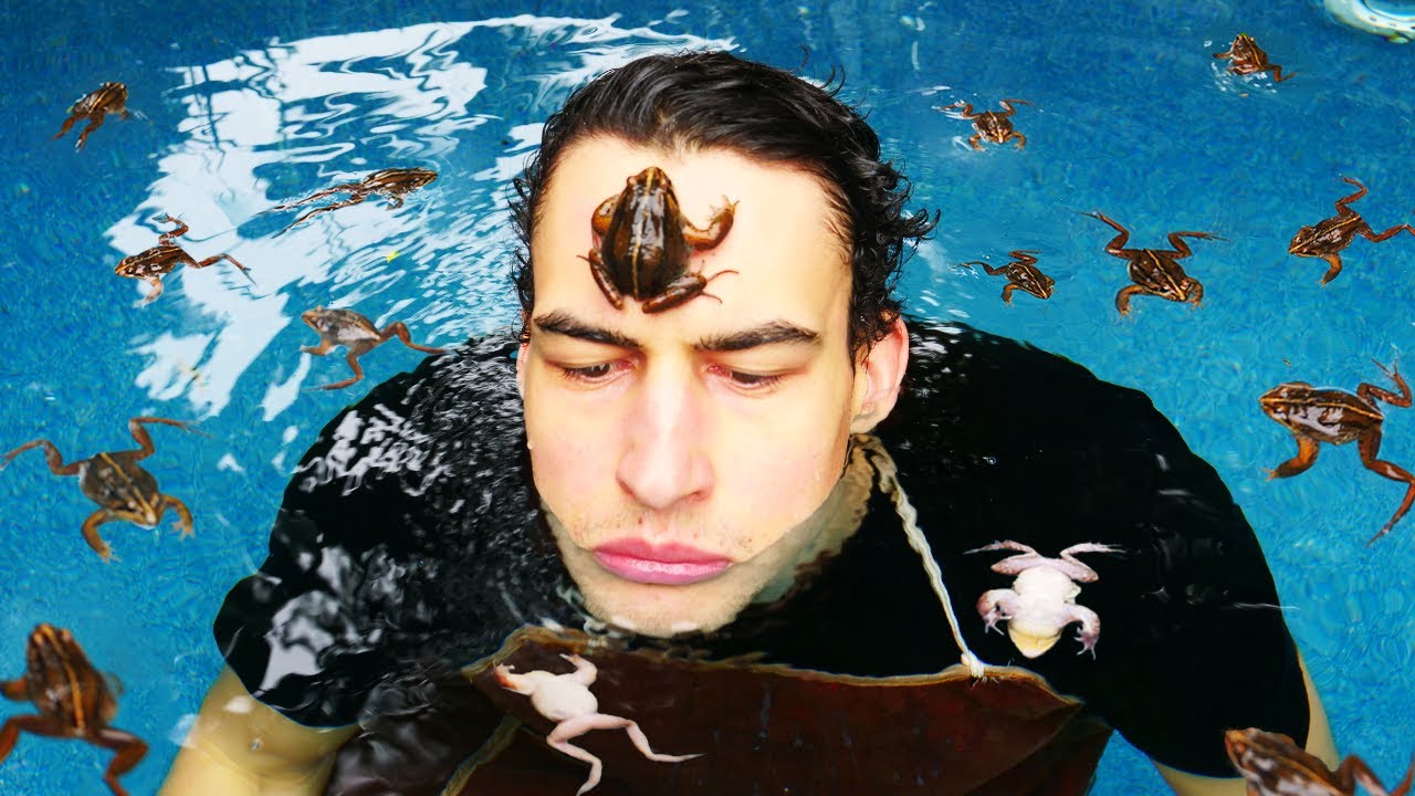 Frogs keep drowning themselves in my pool