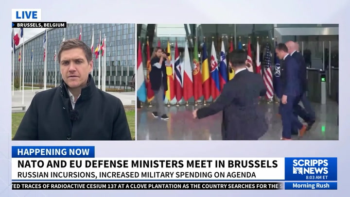 NATO's United Front in Supporting Ukraine's Defense Needs