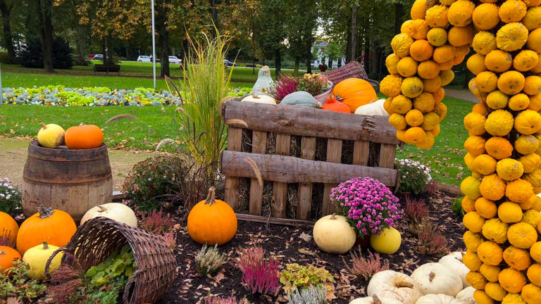 Here are the fall festivals happening across North Texas in October 2025