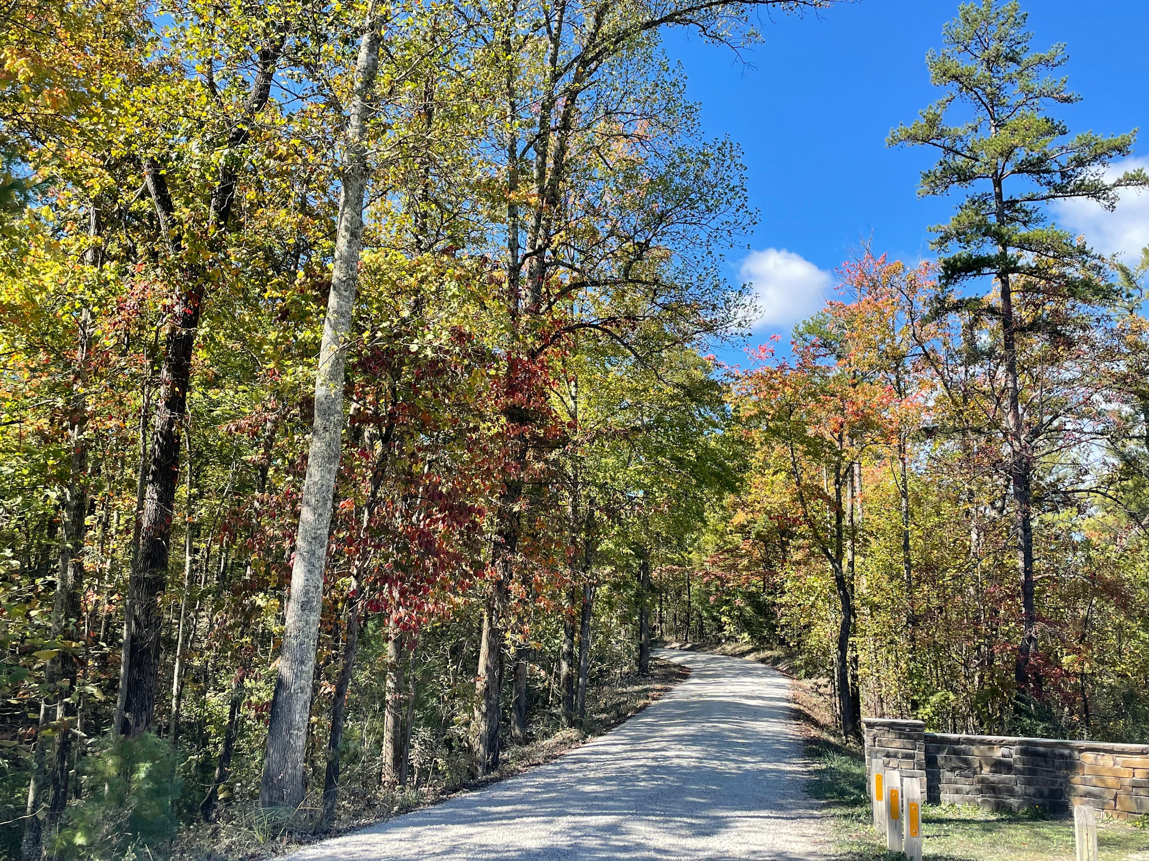 What’s going on with Kentucky’s fall colors this year?