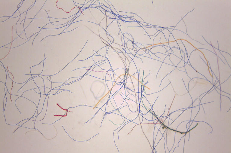 Household dryers are significant sources of microfiber pollution, study ...