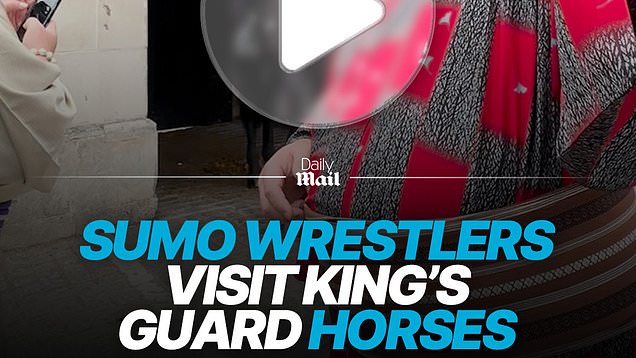 Japan's top sumo wrestlers visit King's Guard Horses