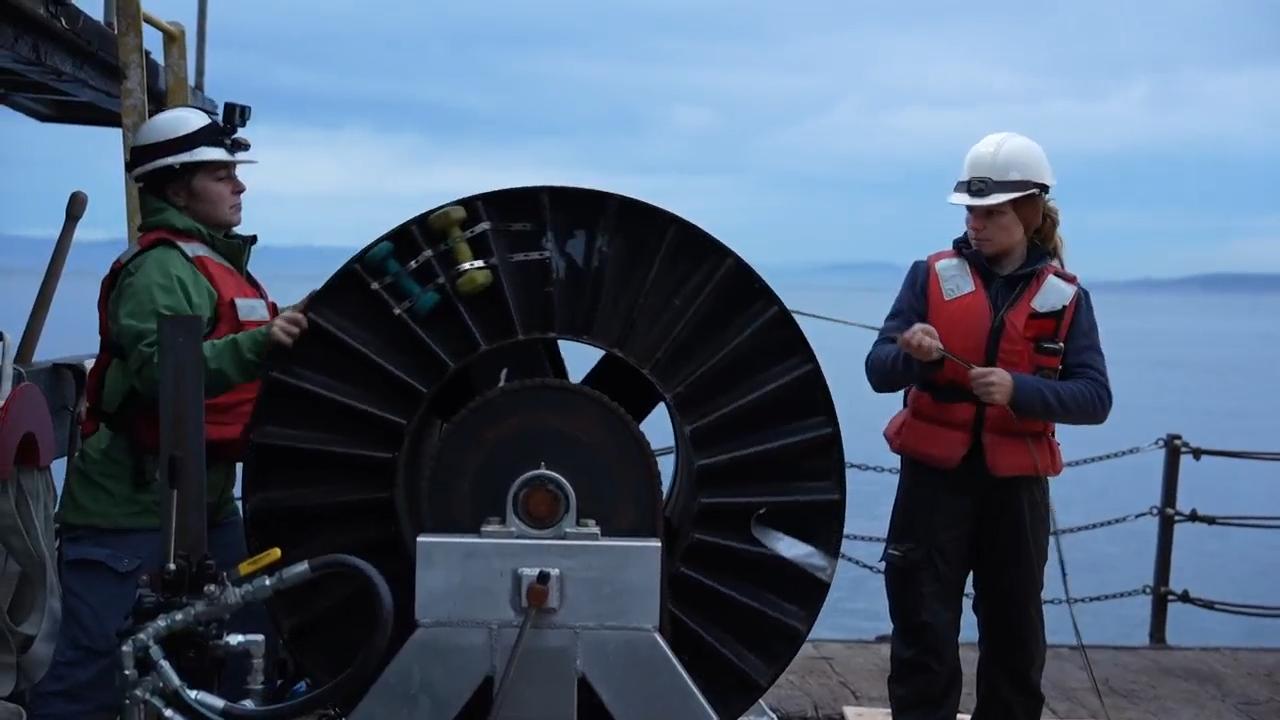 Scientists hope underwater fiber-optic cables can help save endangered ...