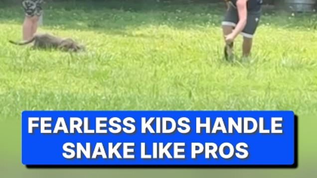 Fearless boys pick up snake