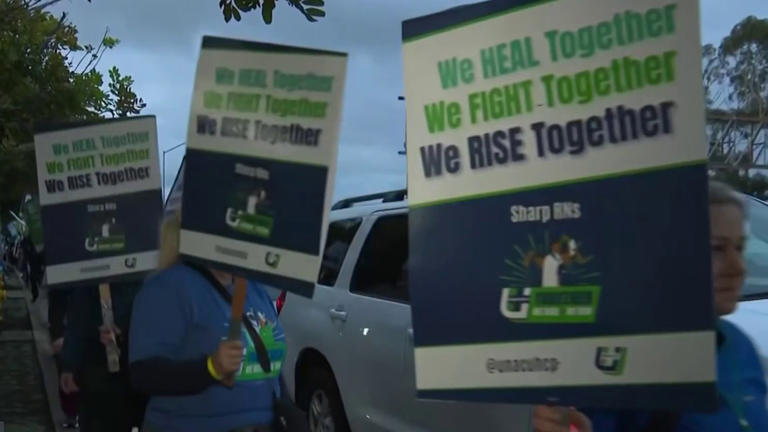 Sharp nurses picket amid contract negotiations