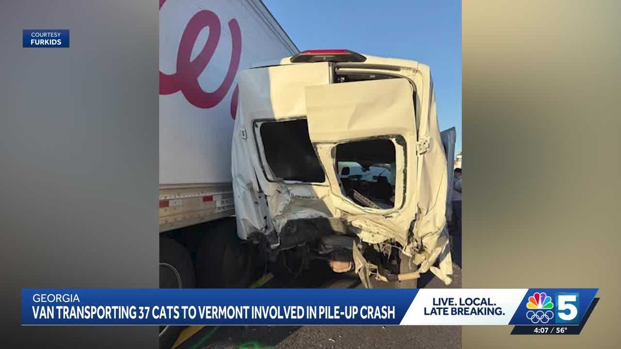 Dozens of cats headed to Vermont injured in deadly car fire, multi ...