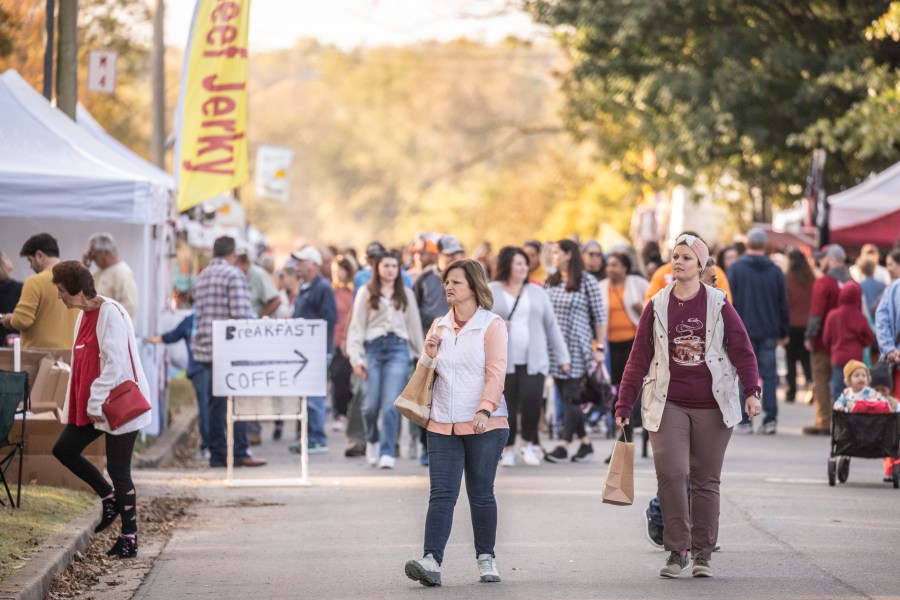 48th Annual Bell Buckle Webb Art & Craft Festival this weekend