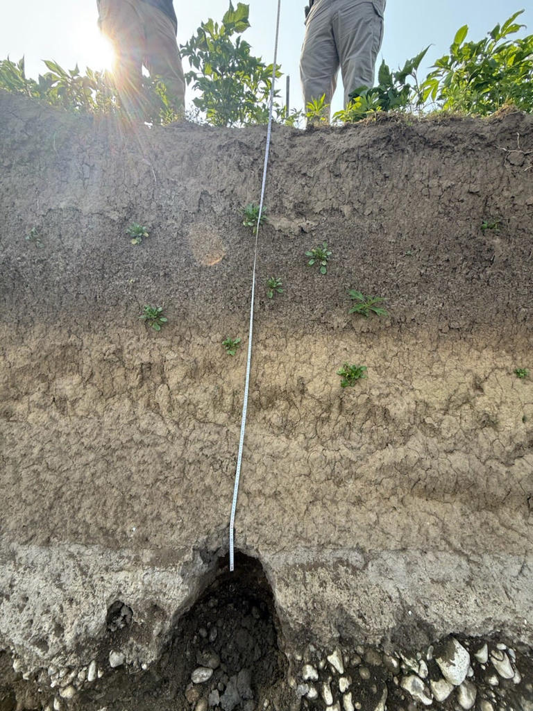 Skull found on Indiana riverbank may be over 4,000 years old, coroner says