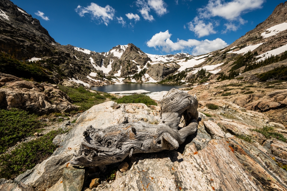 Doctors gave him six months to live. He created Rocky Mountain National ...