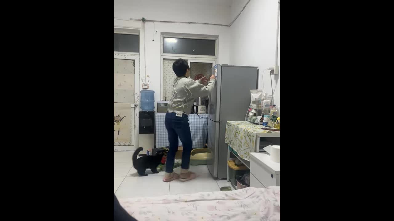 Mischievous cat blocks owner from opening refrigerator in Beijing, China