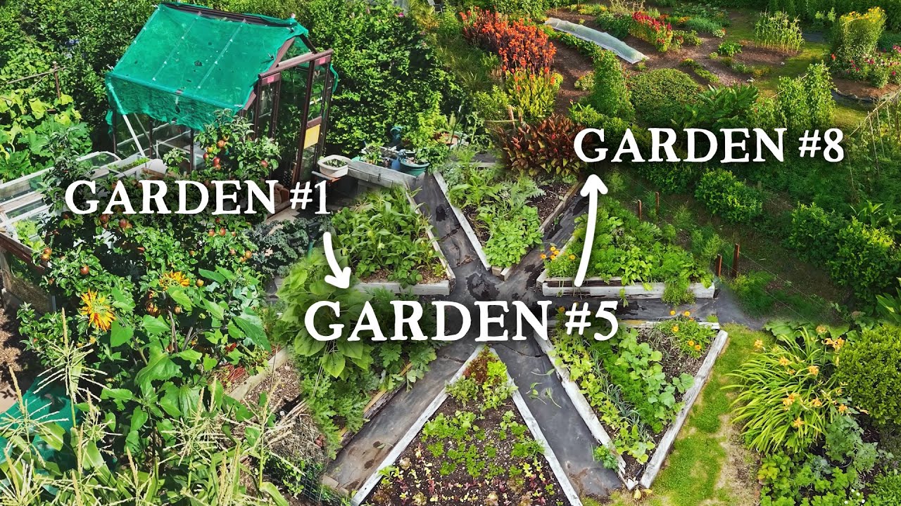 8 Creative Permaculture Garden Ideas to inspire you
