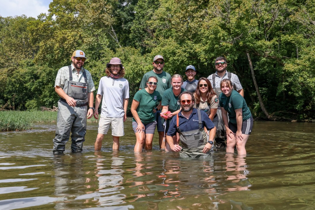 TVA releases 100 rare Appalachian rockshell mussels into East Tennessee ...