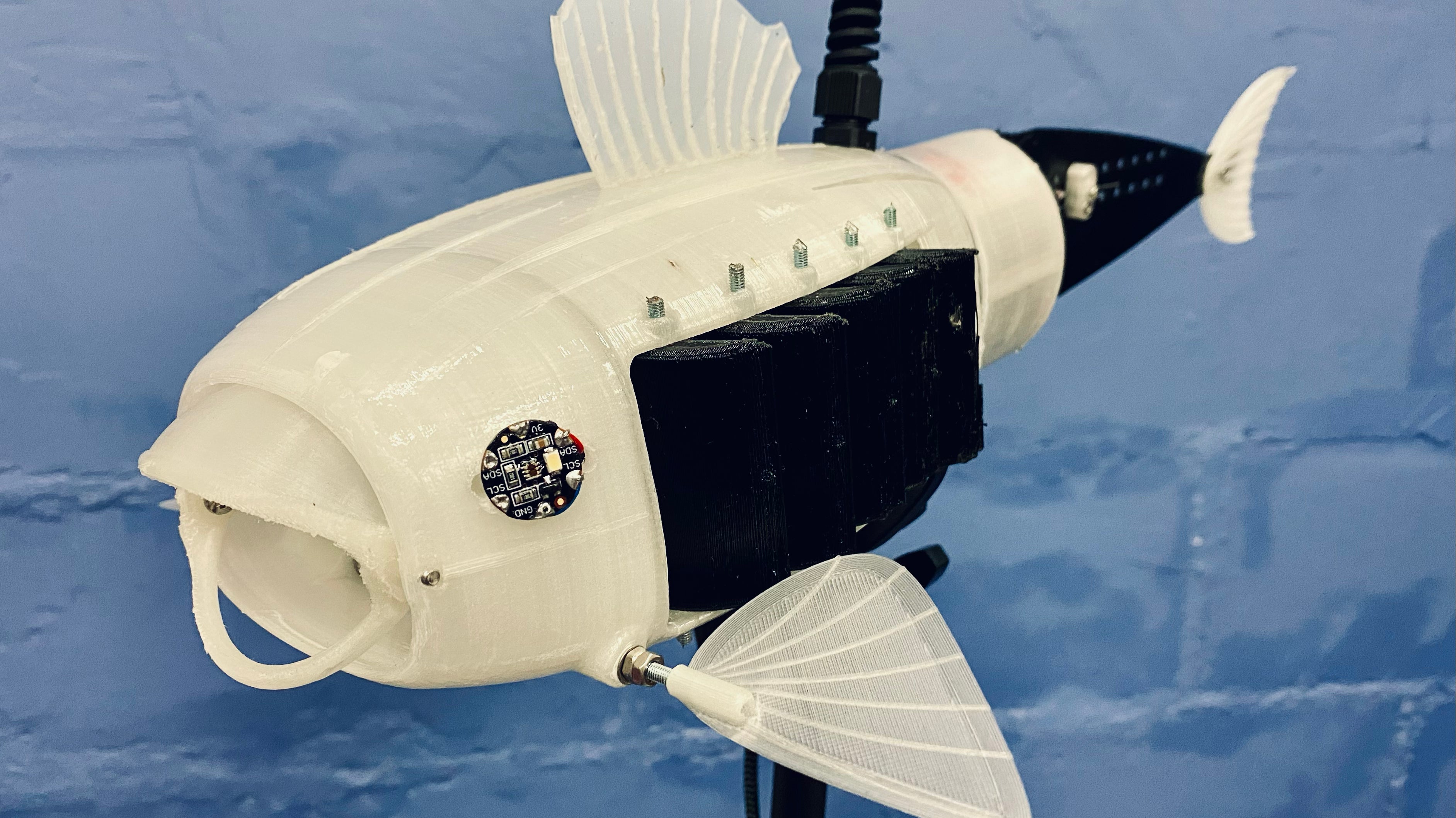 Plastic-eating robot fish could revolutionize ocean cleanup