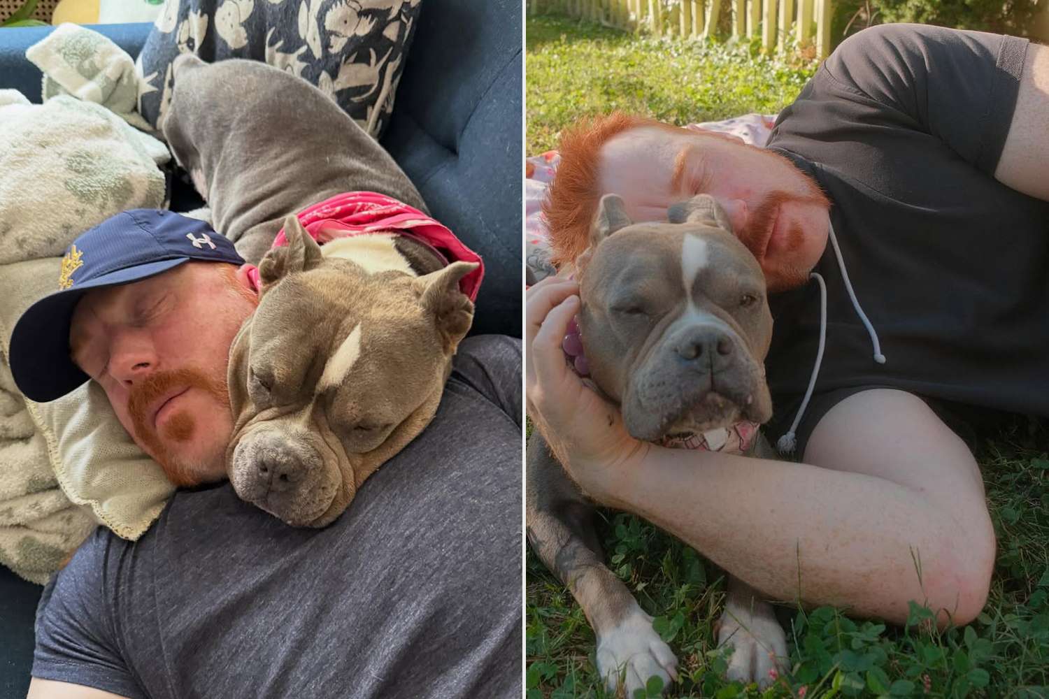 WWE Superstar Sheamus Mourns the Death of His Dog Betty Weeks After She ...