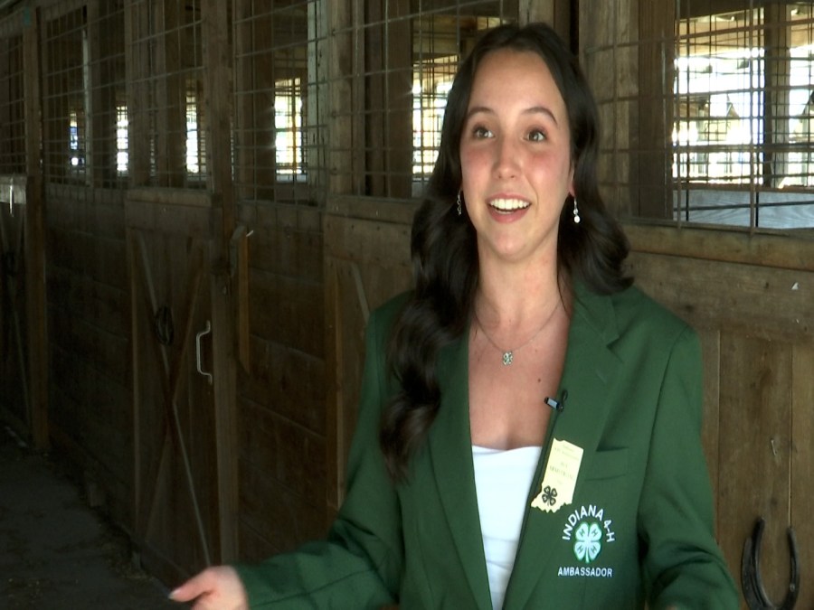 4-H enrollment is open now: get signed up today