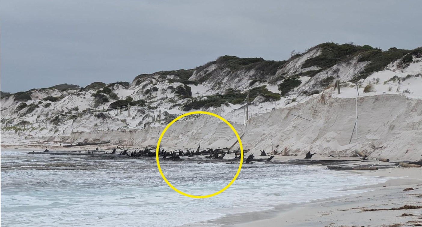 Erosion at Aussie beach exposes ancient secret under sand: 'Exciting'