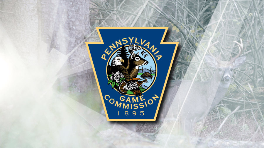 Pennsylvania hunter shot while looking for deer, PGC investigating