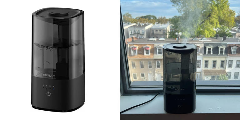 I Bought This $25 Humidifier for My Plant Babies Before Winter—and Now ...