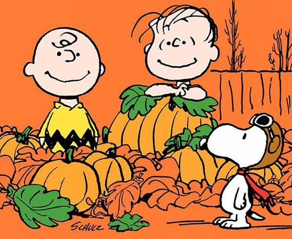 "It's The Great Pumpkin Charlie Brown": from the Comic Strip to the TV ...