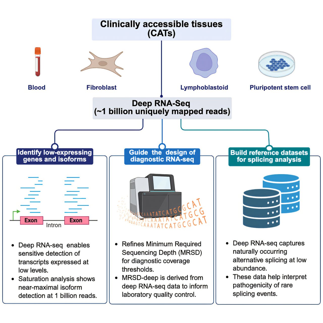 Researchers show benefit of ultra-deep RNA sequencing in Mendelian ...