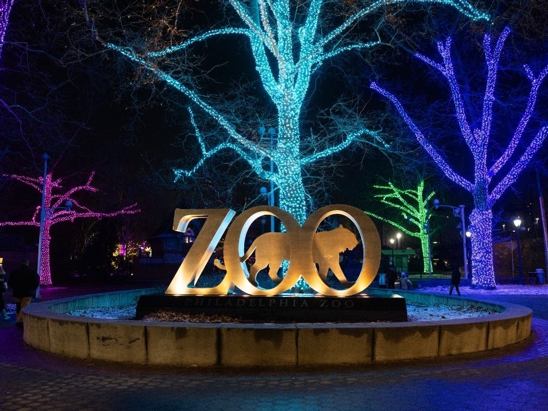 LumiNature At Philadelphia Zoo Returns Nov 20 With New Features