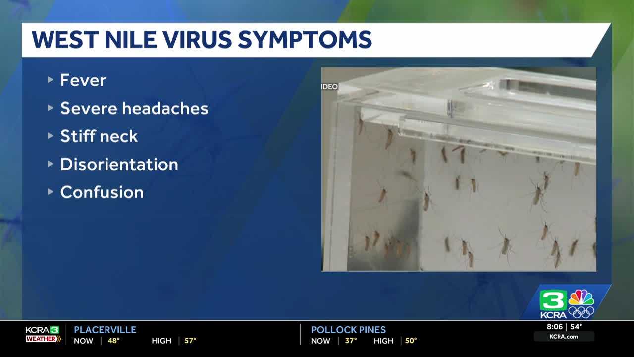 San Joaquin County reports first human West Nile virus case of the year