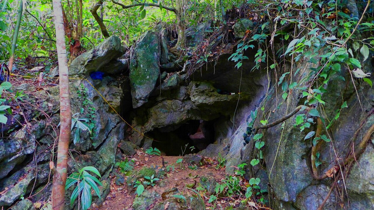 Ancient teeth reveal mammalian responses to climate change in Southeast ...