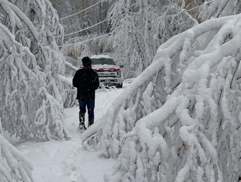 Hundreds of Manitobans still without power after weekend storm